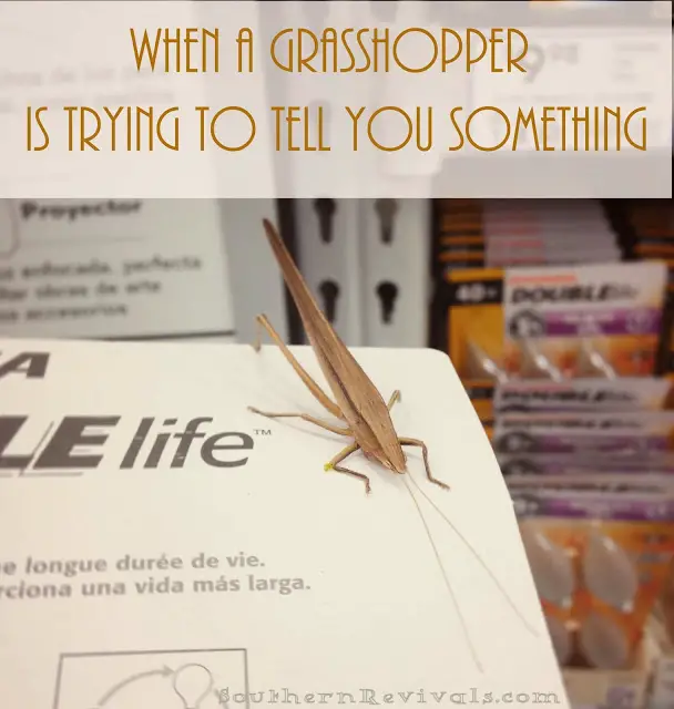 Grasshopper Spiritual Meaning