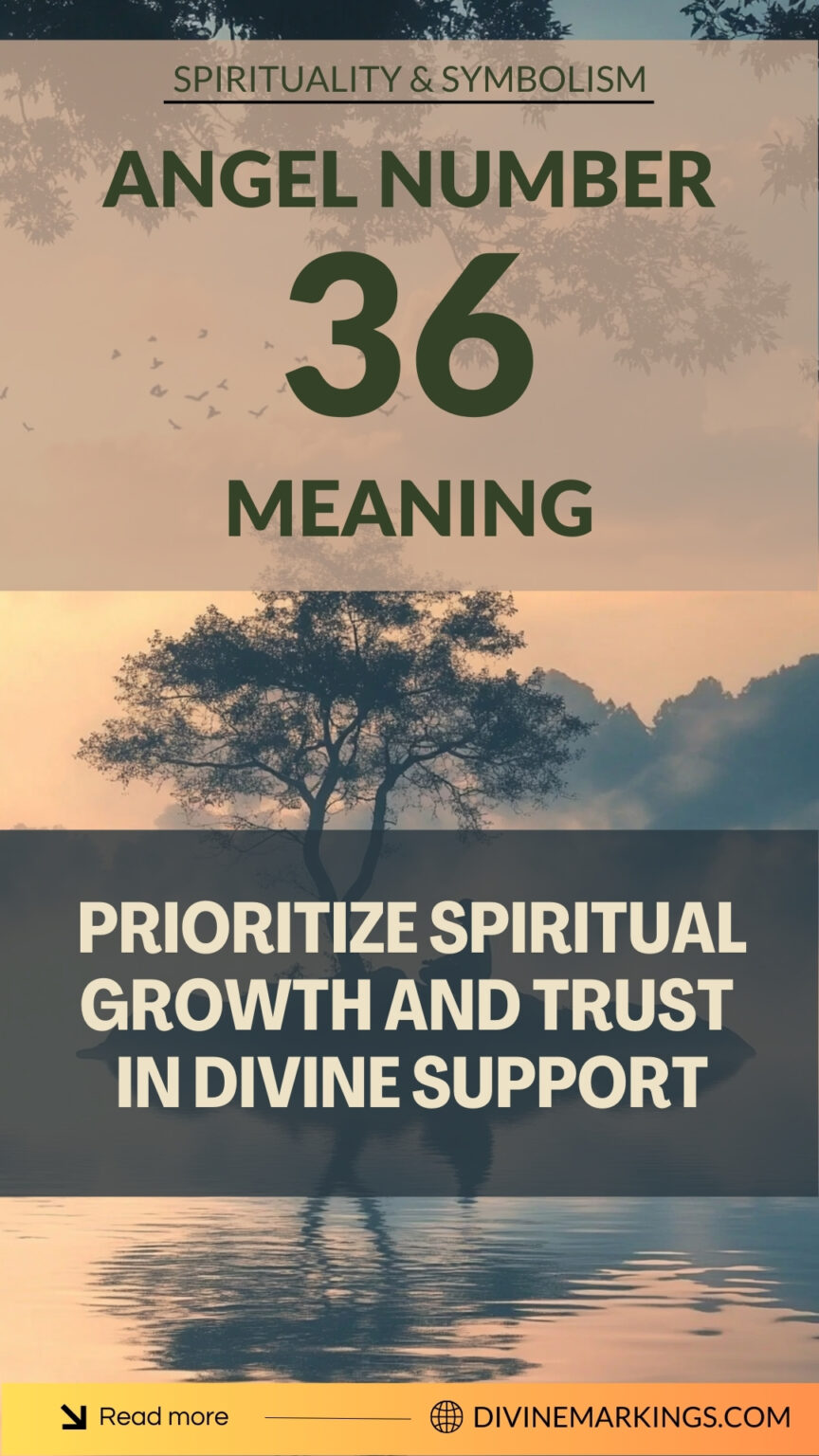Angel Number 36 Meaning: A Message of Support and Guidance
