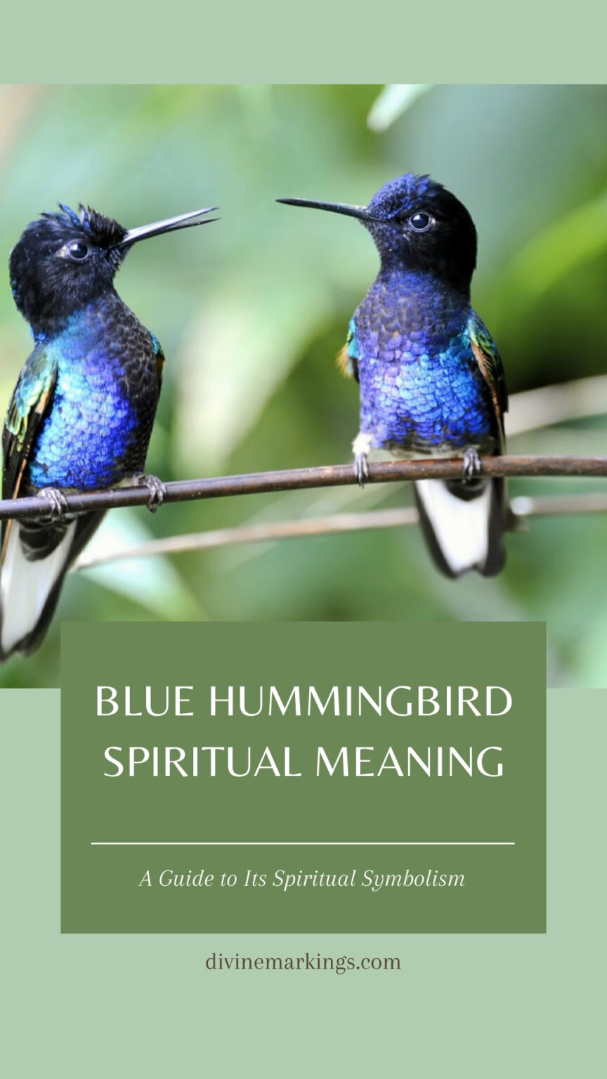 The Mystical Significance of Seeing a Blue Hummingbird