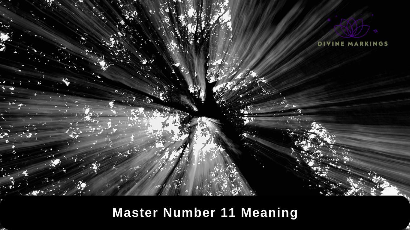 Master Number 11 Meaning: [Intuition and Creativity]