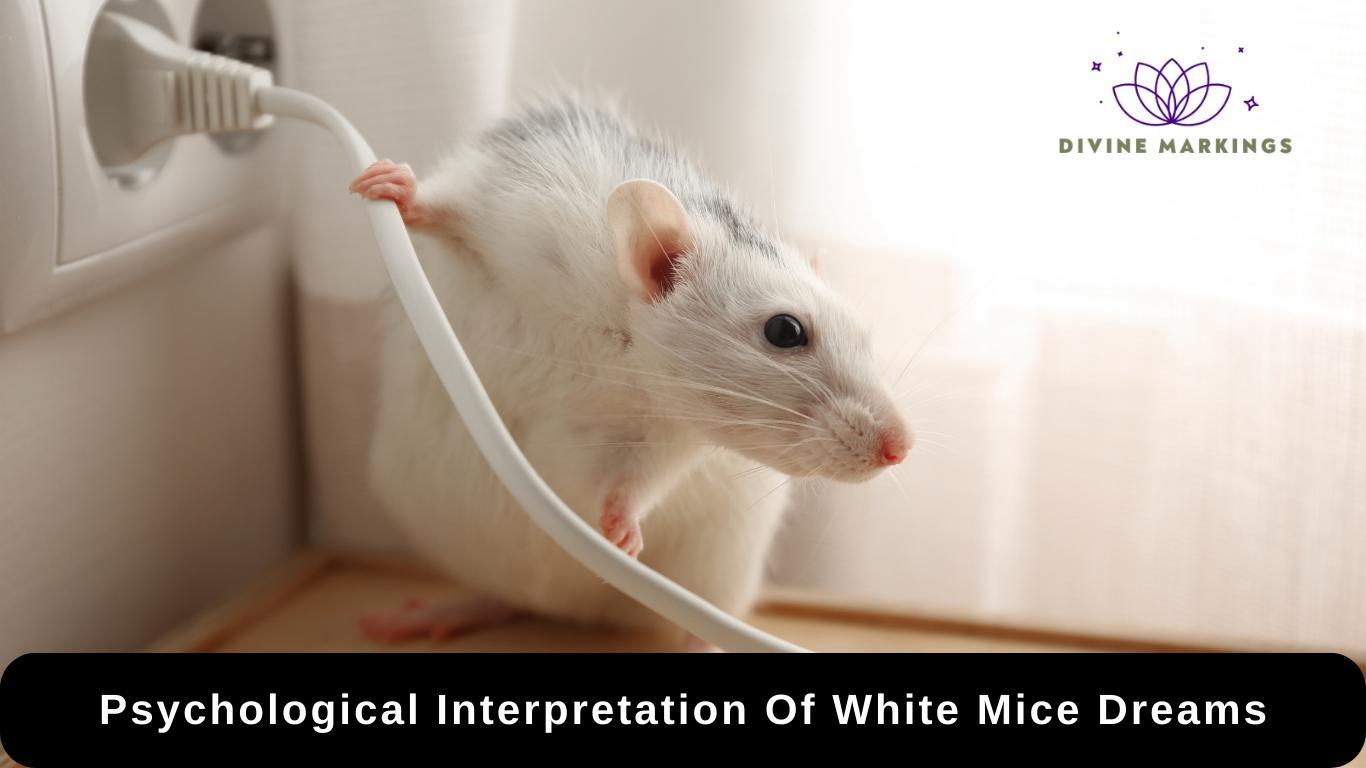 Spiritual Meaning of White Mice in Dreams