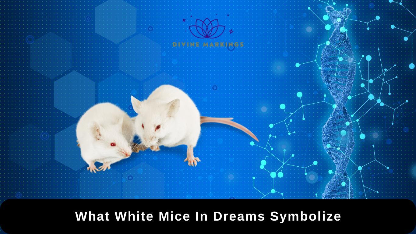 Spiritual Meaning of White Mice in Dreams