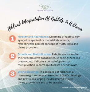 Biblical Meaning of Rabbits in Dreams
