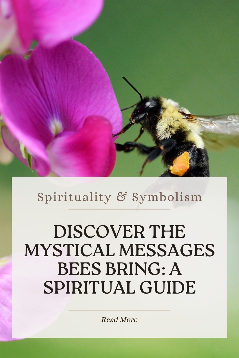 Spiritual Meaning of Bees Flying Around you