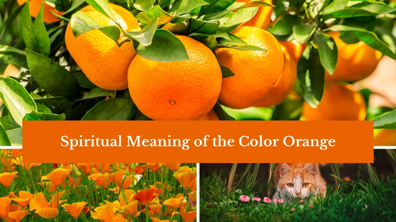 How the Color Orange Can Transform Your Spiritual Journey