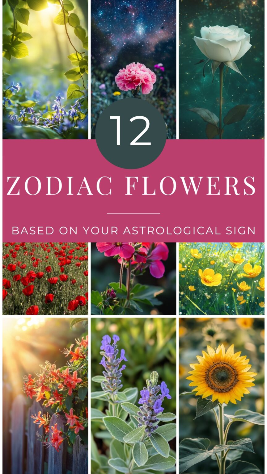 12 Zodiac Flowers Based on Your Astrological Sign