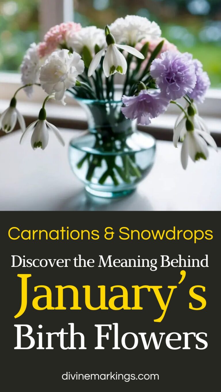 January Birth Flowers: Carnations and Snowdrops – Divine Markings