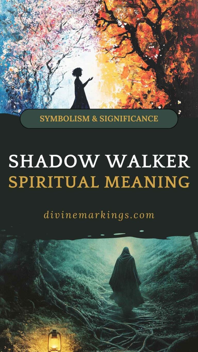Shadow Walker Spiritual Meaning: [Significance and Insights]