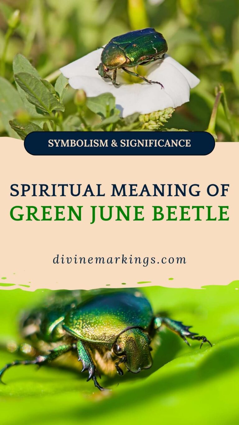 Green June Beetle Spiritual Meaning: Discovering Transformation and Renewal