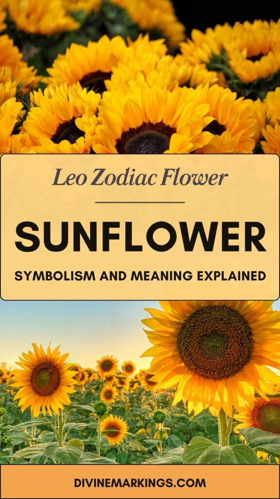 Zodiac Flower For Leo