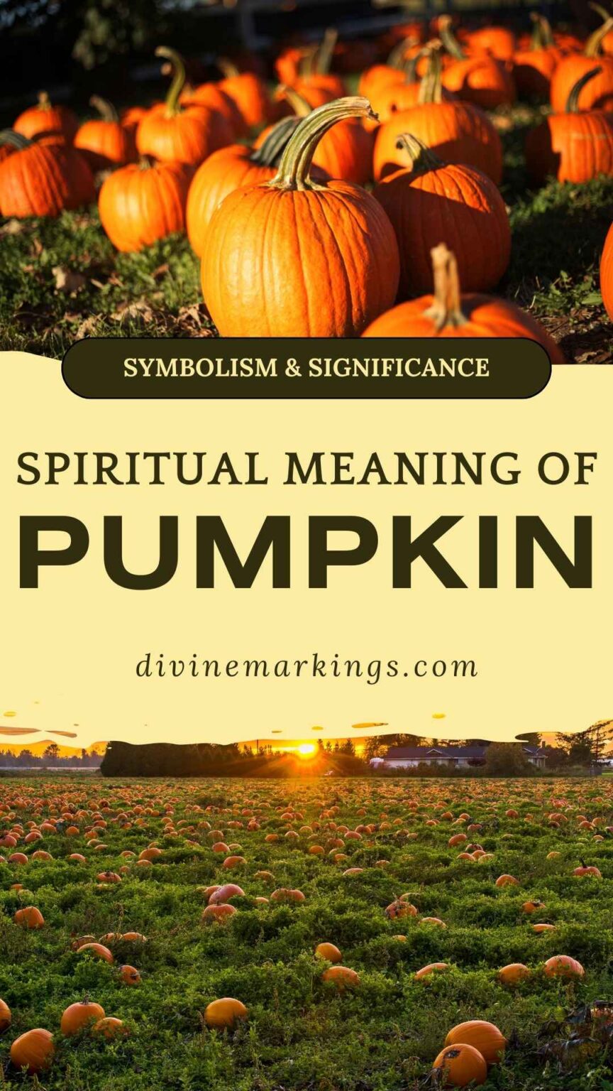 Pumpkin Spiritual Meaning: [Symbolism & Significance]
