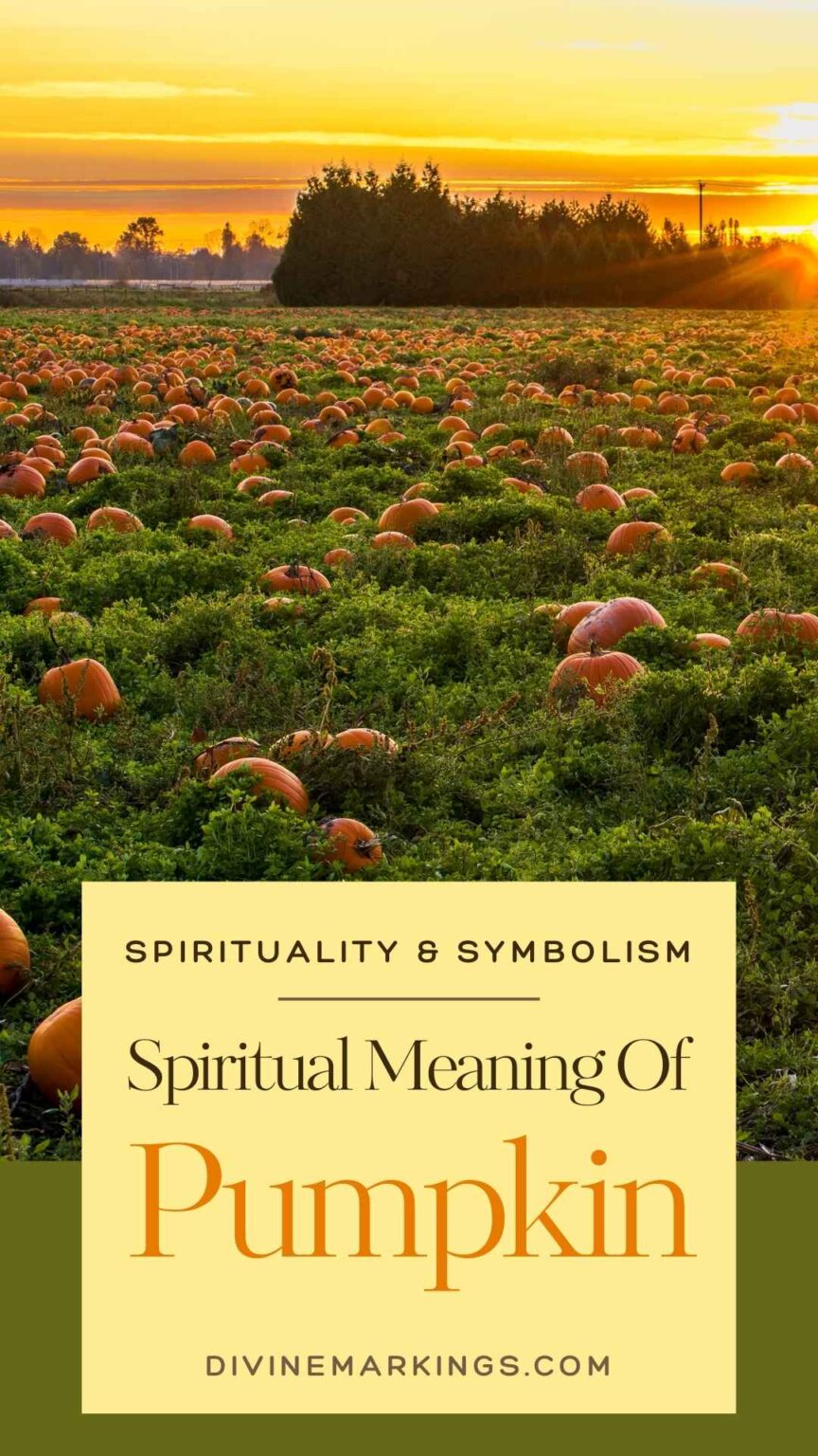 Pumpkin Spiritual Meaning: [Symbolism & Significance]