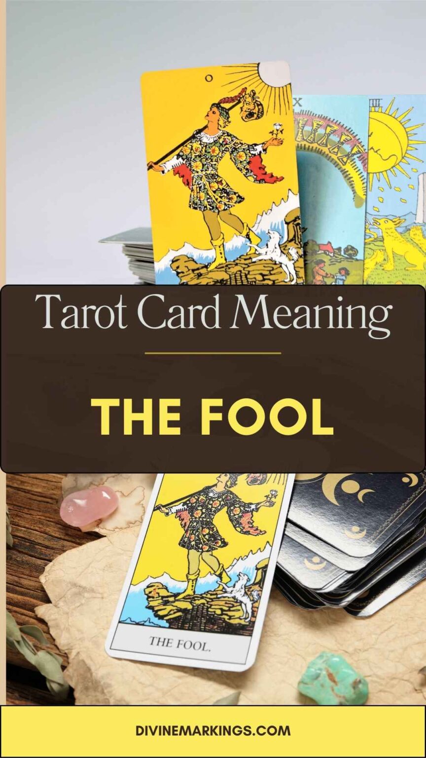 The Fool Tarot Card Meaning: New starts await