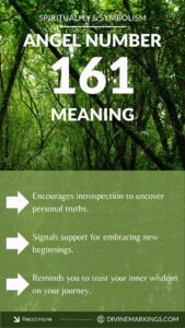 161 Angel Number Meaning