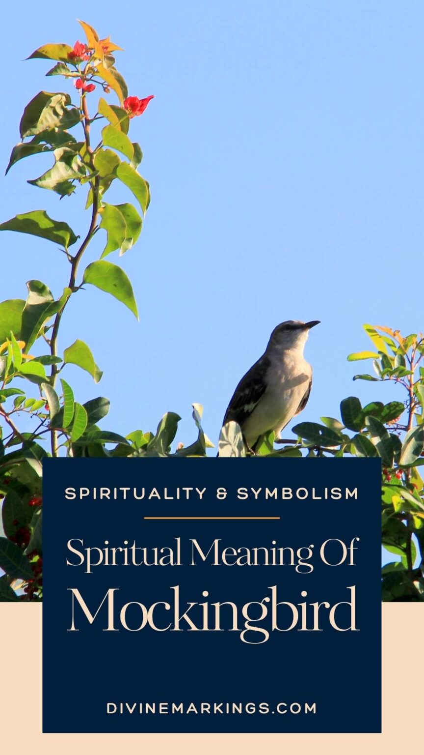 Mockingbird Spiritual Meaning Explained: Finding Joy and Transformation ...